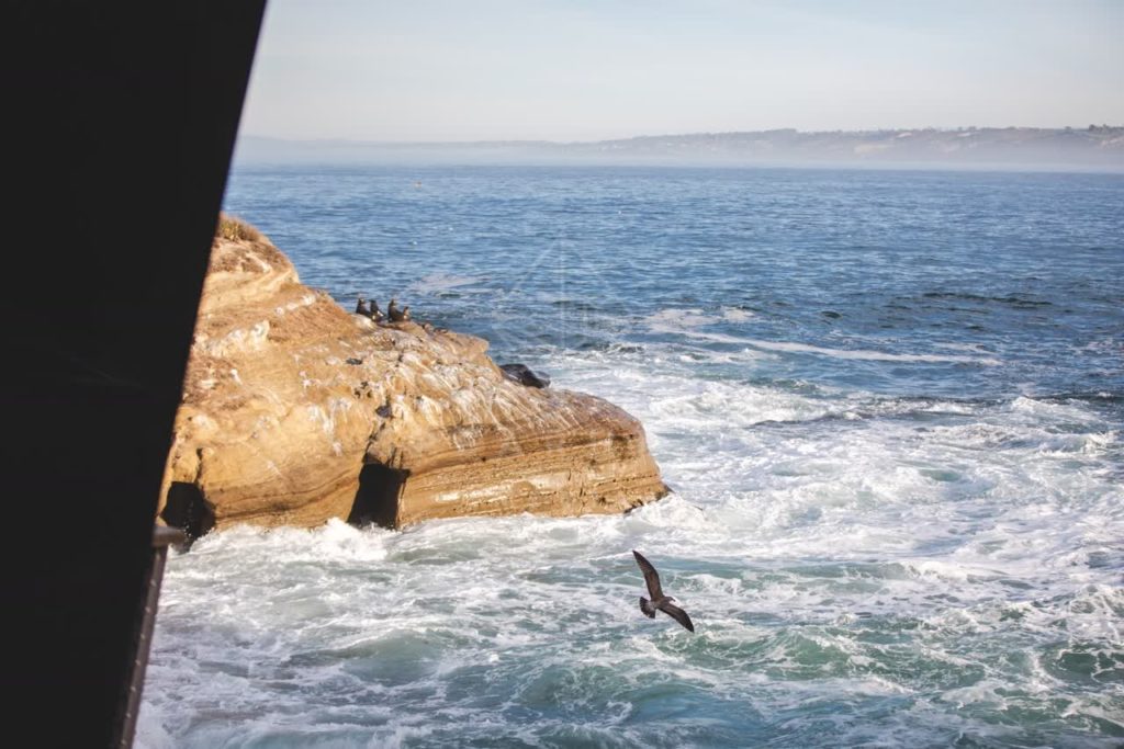 Big waves breaking on the rocks with seals at La Jolla Cove | Photo - 6 ...